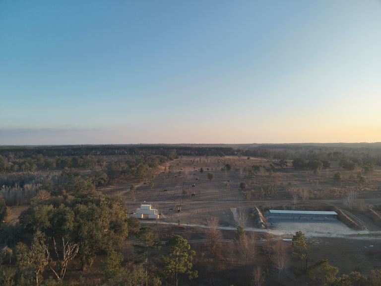 Second Bend Labs
